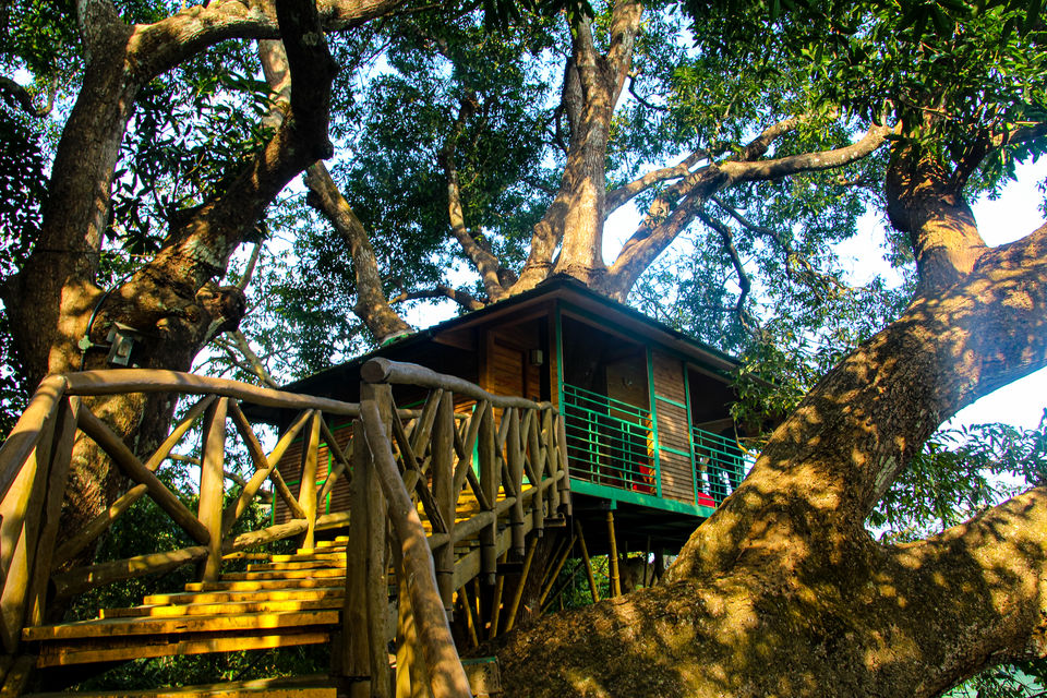 Dandeli - A Escapade to the Wilderness - Tripoto