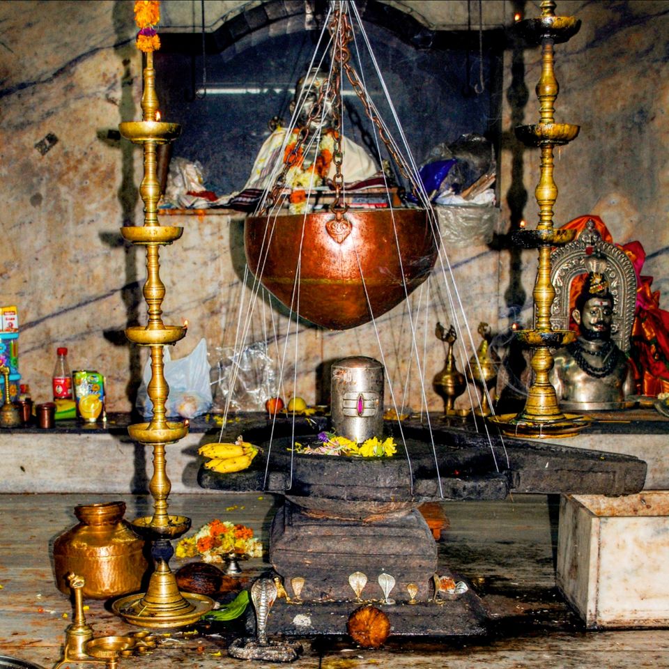 Narve Goa, The natures paradise - Tripoto