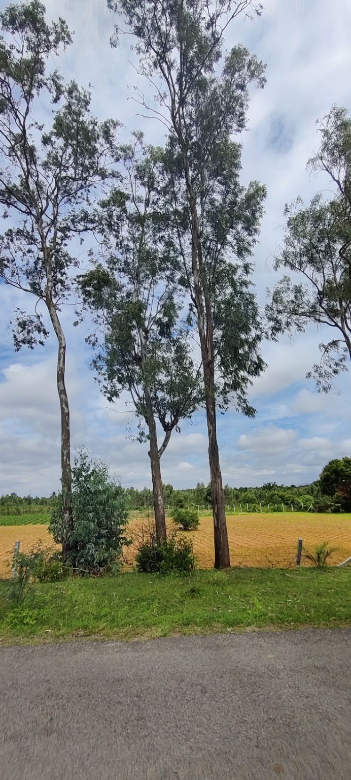 Mallappa Konda View Point: Confluence of 3 South Indian States - Tripoto