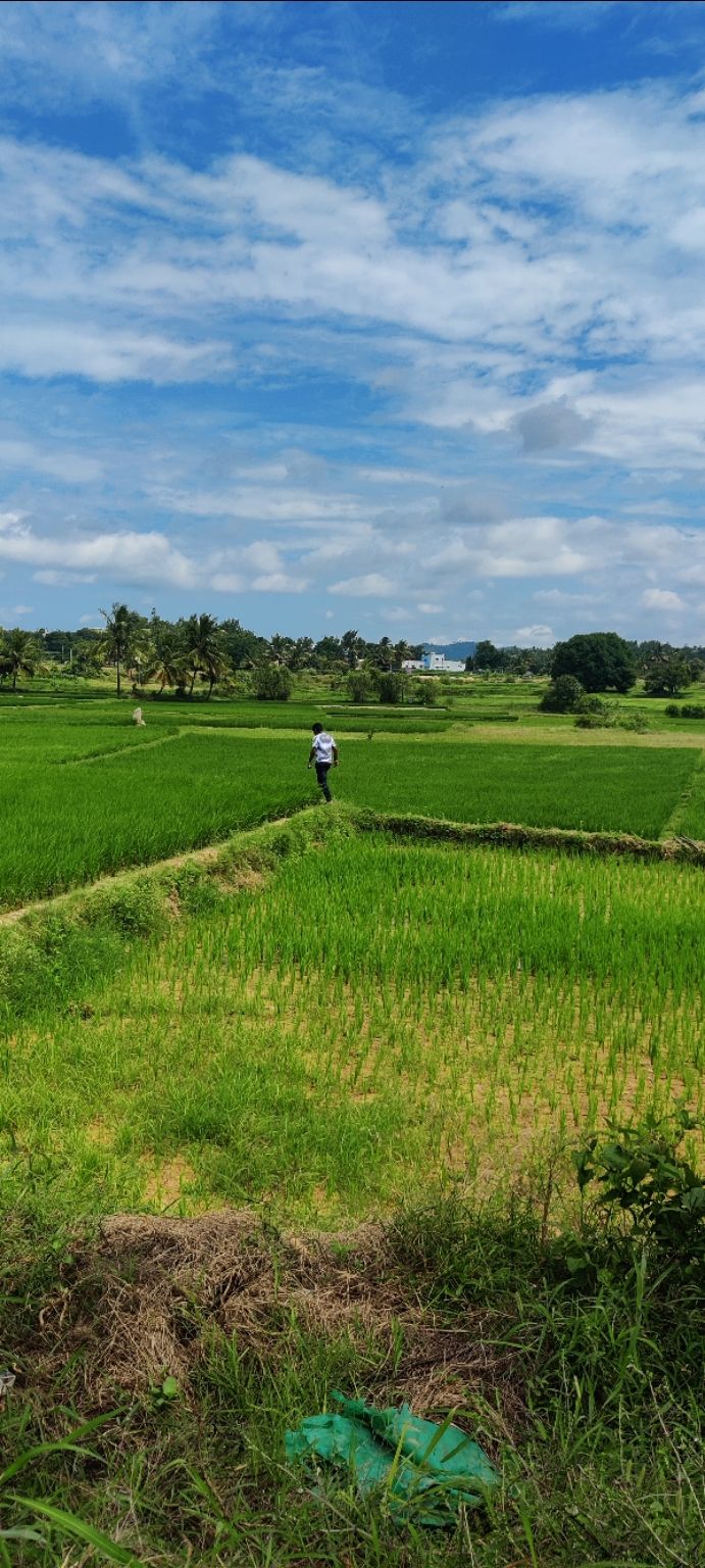 Mallappa Konda View Point: Confluence of 3 South Indian States - Tripoto