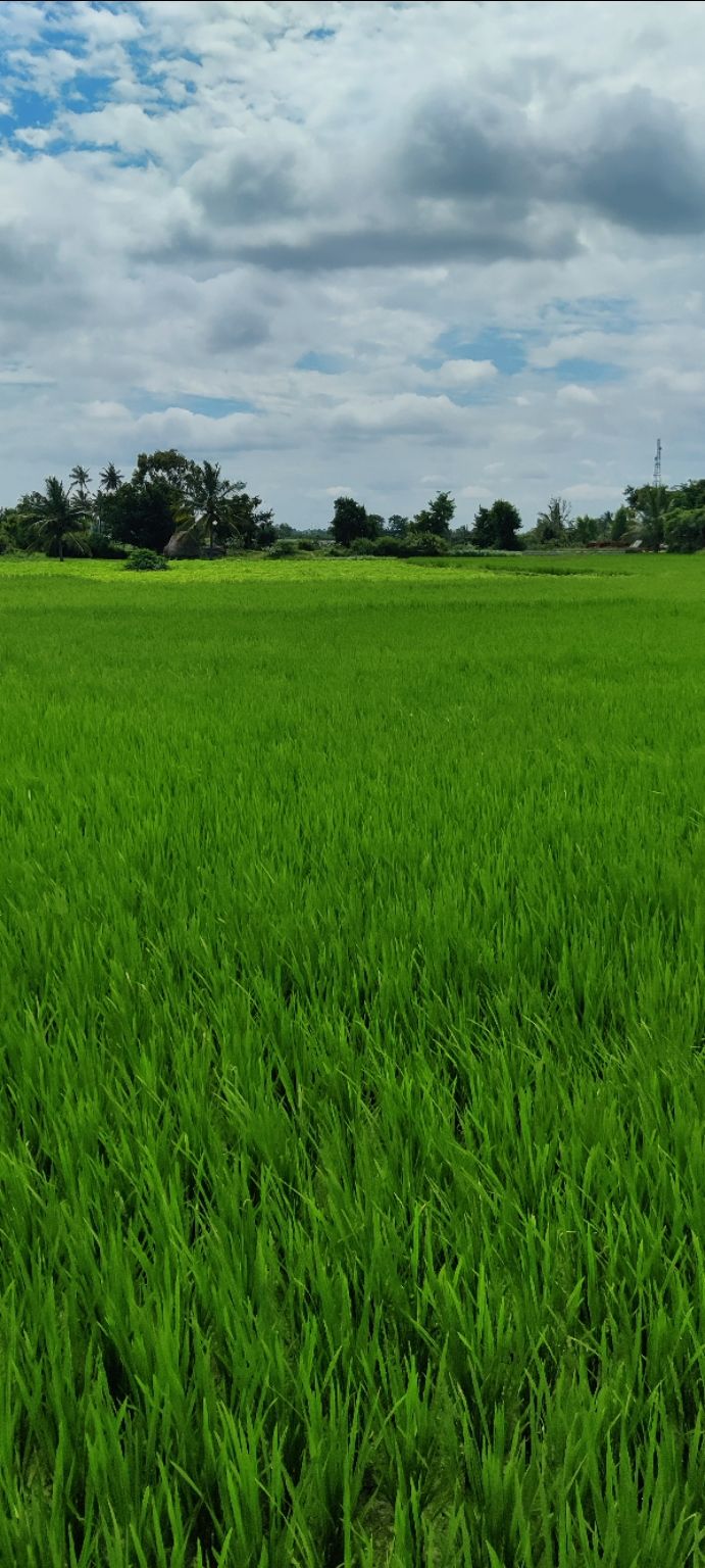 Mallappa Konda View Point: Confluence of 3 South Indian States - Tripoto