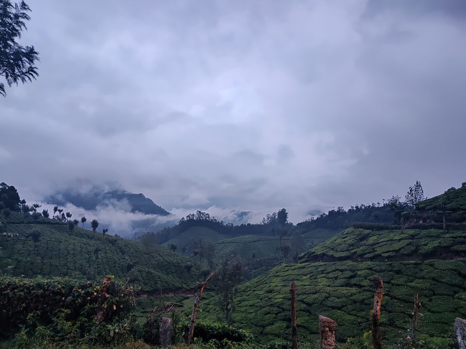 Munnar, as close as it gets to heaven - Tripoto