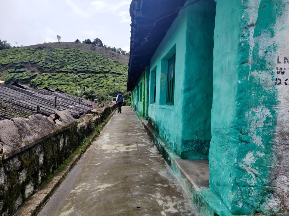 Munnar, as close as it gets to heaven - Tripoto