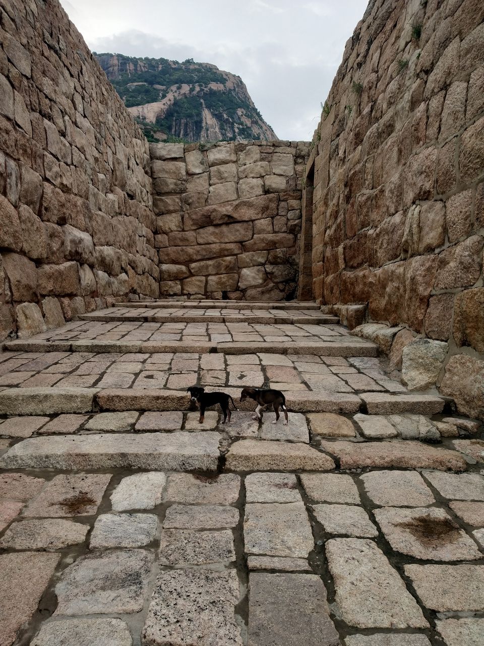 Sankagiri Fort - Unexplored and Forgotten Architecture of South India ...