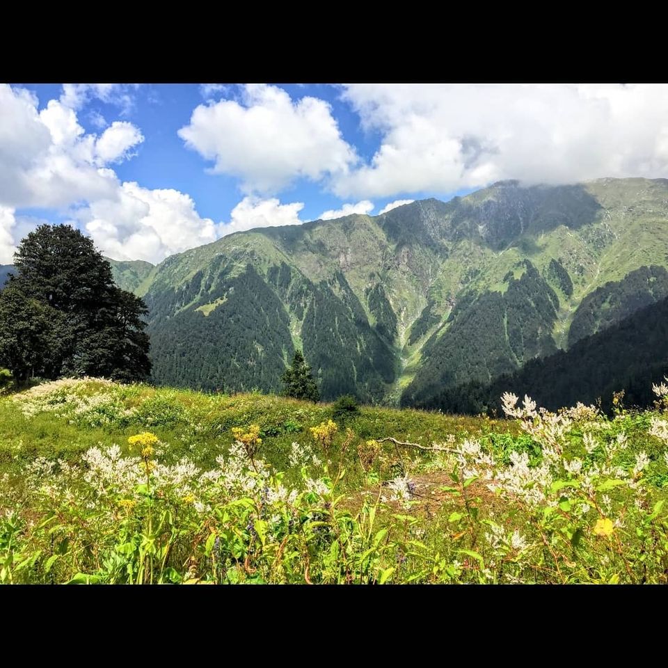 Dehnasar Lake - Lesser Known Trek through virgin forests of Dhauladhar ...