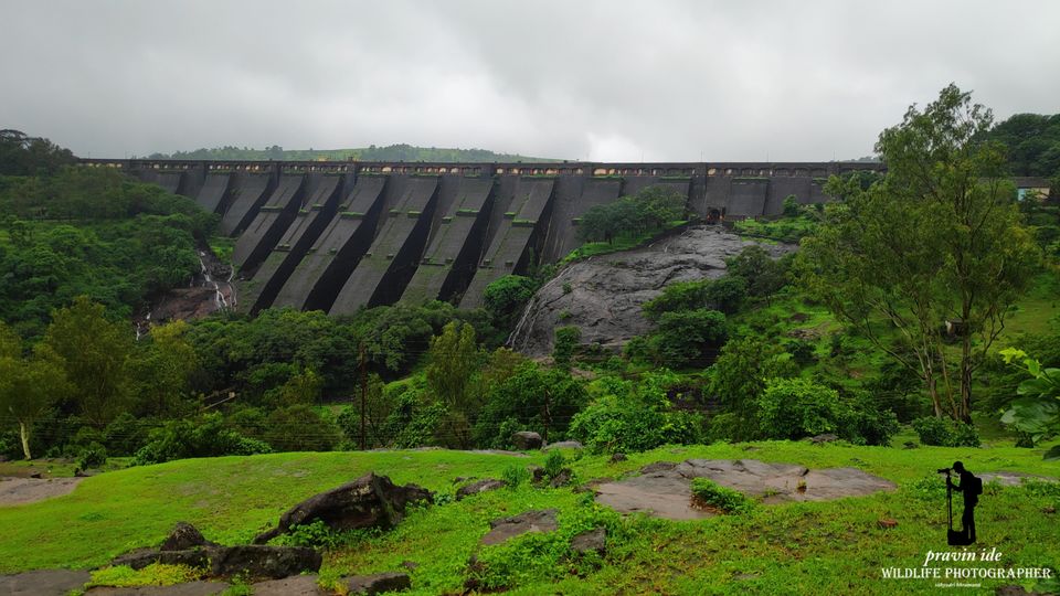 ( Wilson )Bhandardara dam - Tripoto