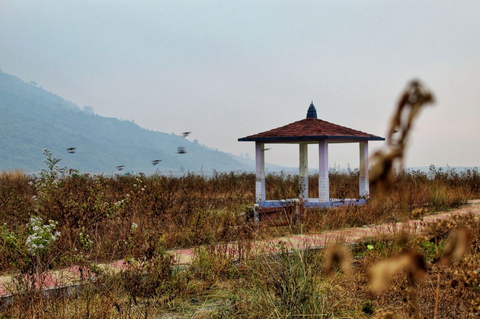 CHAMURCHI ECO PARK ||CHAMURCHI ECO RESORT ||OFFBEAT ||NORTH BENGAL ...