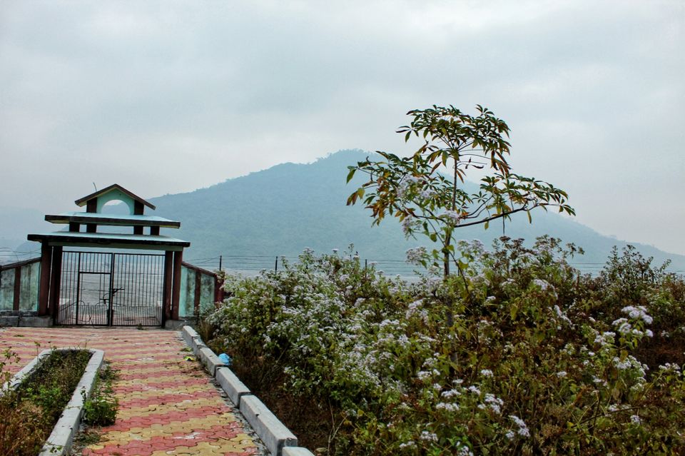 CHAMURCHI ECO PARK ||CHAMURCHI ECO RESORT ||OFFBEAT ||NORTH BENGAL ...