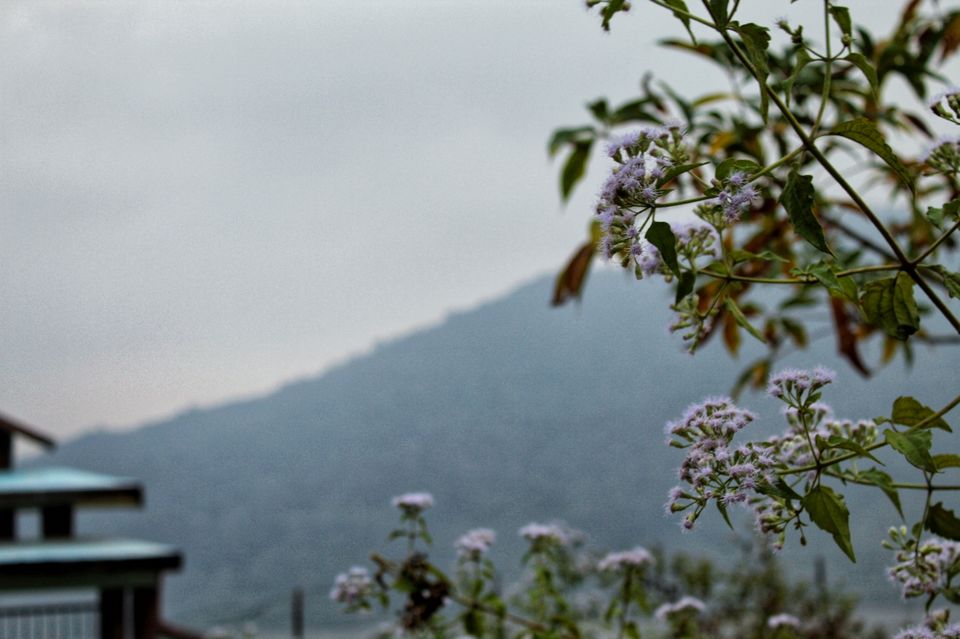 CHAMURCHI ECO PARK ||CHAMURCHI ECO RESORT ||OFFBEAT ||NORTH BENGAL ...