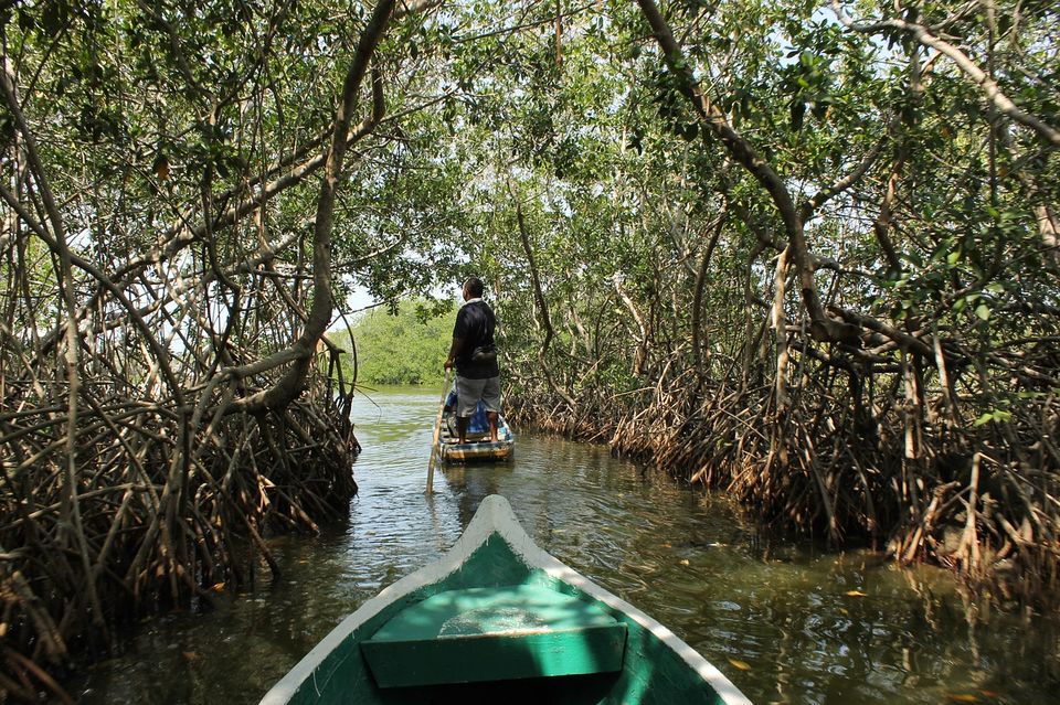 15 Offbeat Things To Do In Andaman For A Blissful Holiday
