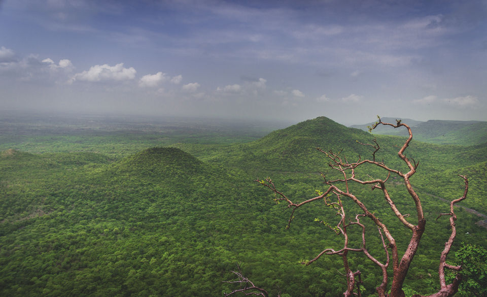 Jam Gate - A Gate to Nowhere but Wonders - Tripoto