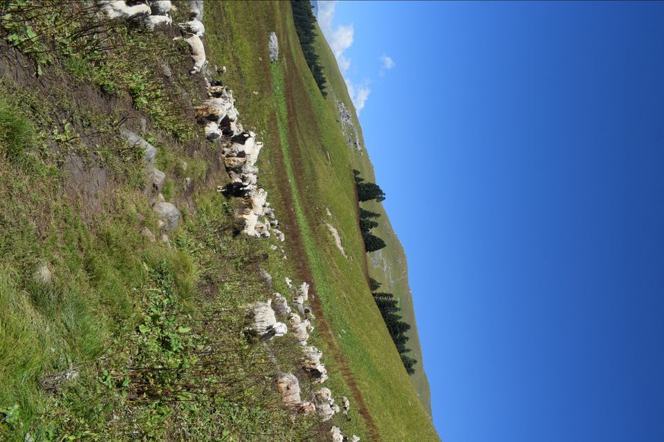 Chandernahan 7 lakes trek shimla (rohru) - Tripoto