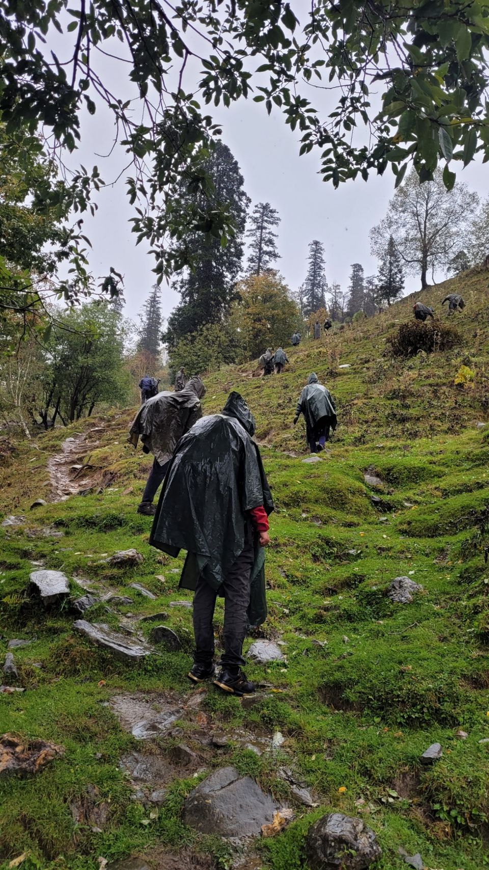 Why do I choose tracking in Manali - Tripoto