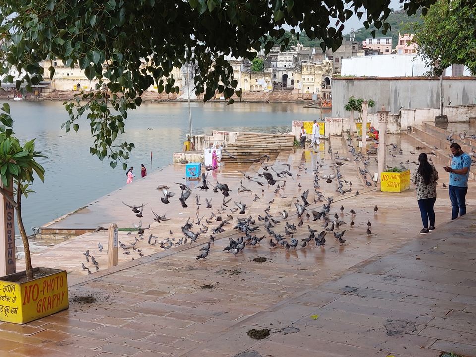 Pushkar Tirath - Tripoto