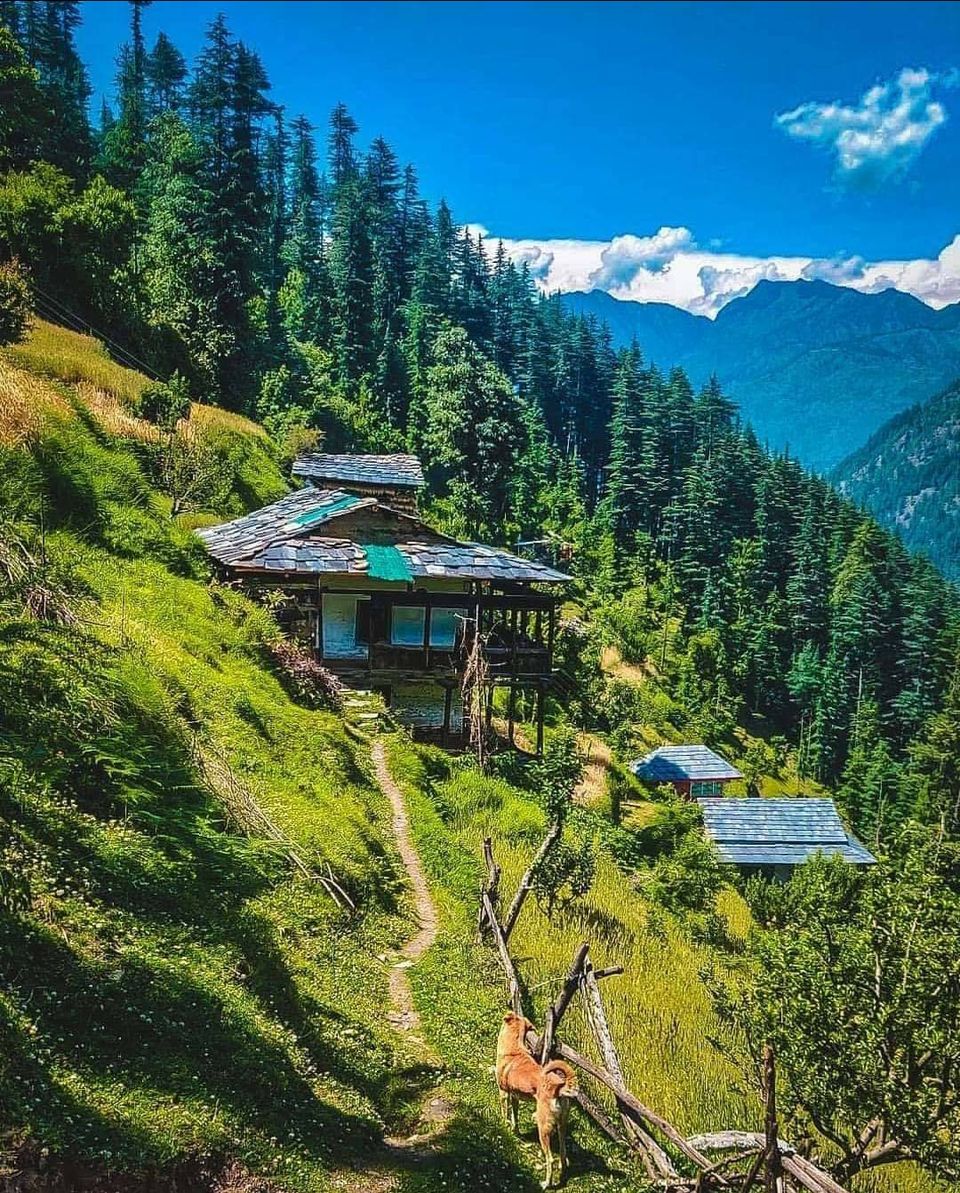 Jibhi , An Unexplored Village of Himachal - Tripoto