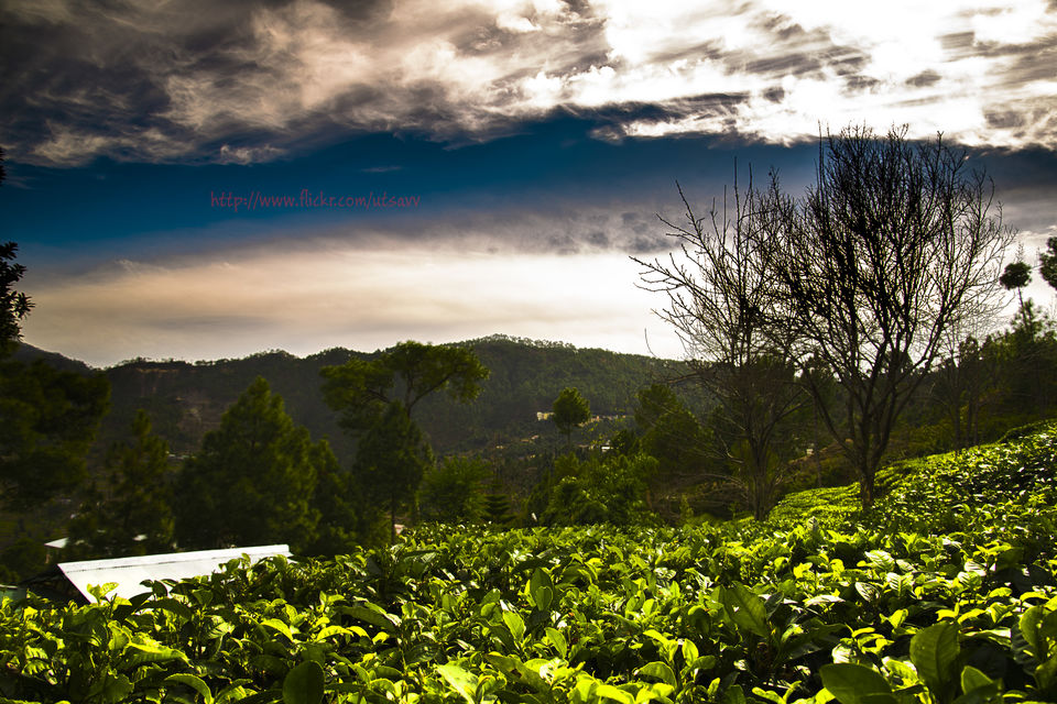 Kumaon Valley Uttarakhand Guide and Tourist Places - Tripoto