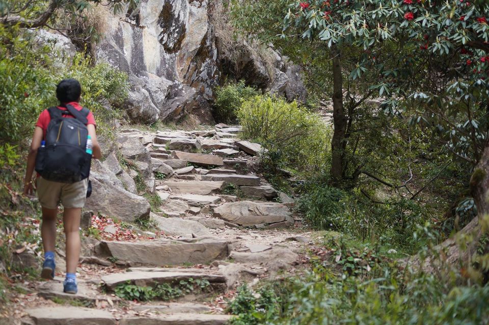 5 lessons that I learned from the Triund trek - Tripoto