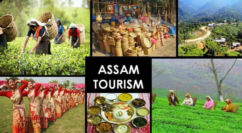 Assam-The unexplored beauty of India - Tripoto