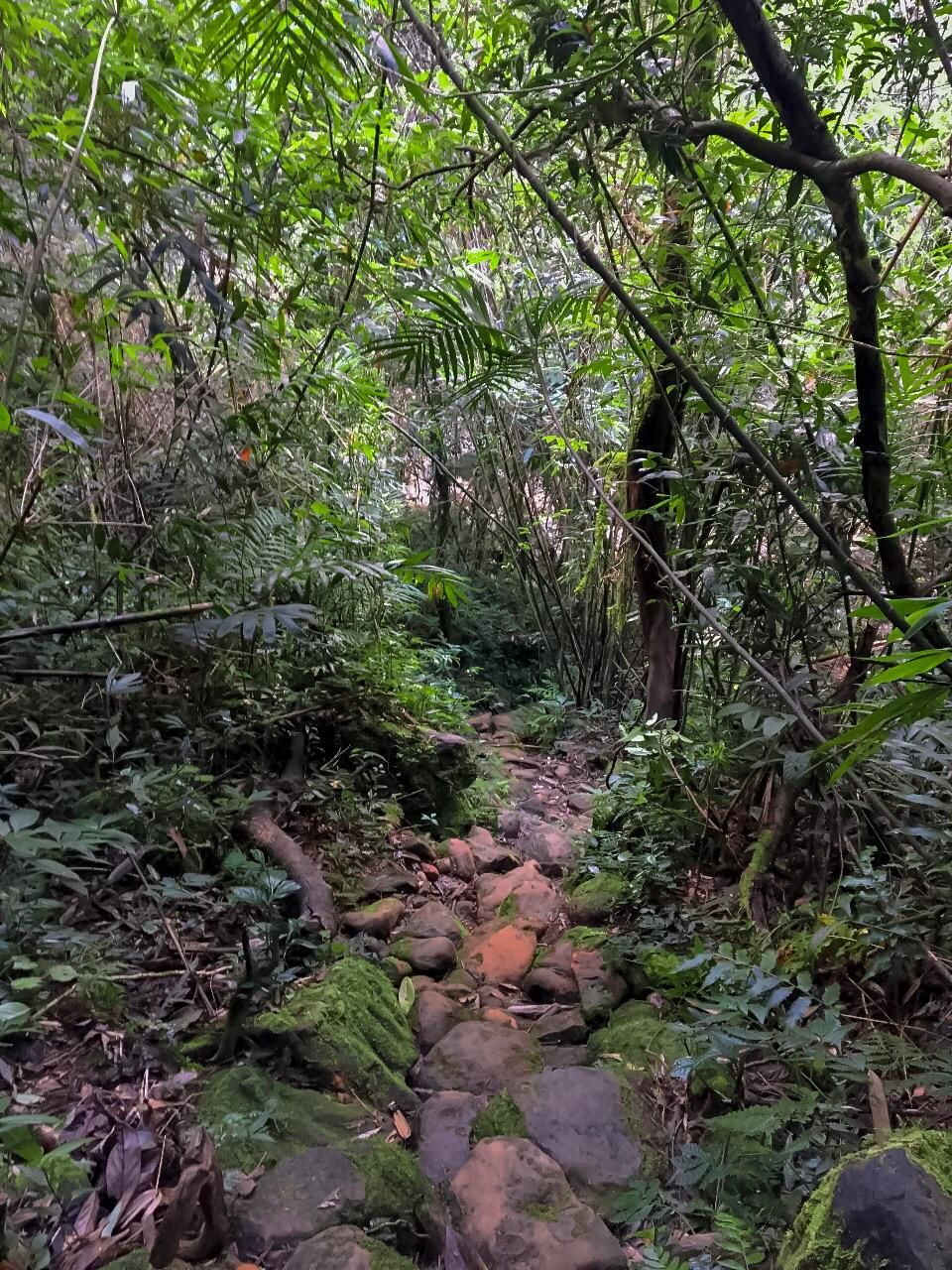 Reaching the mouth of Nohkalikai - Indias tallest plunge waterfall ...