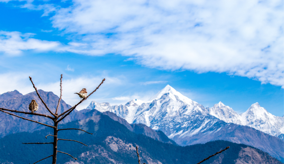 Snow, Chai and a Crackling Bonfire: Places You Must Visit to Experience ...