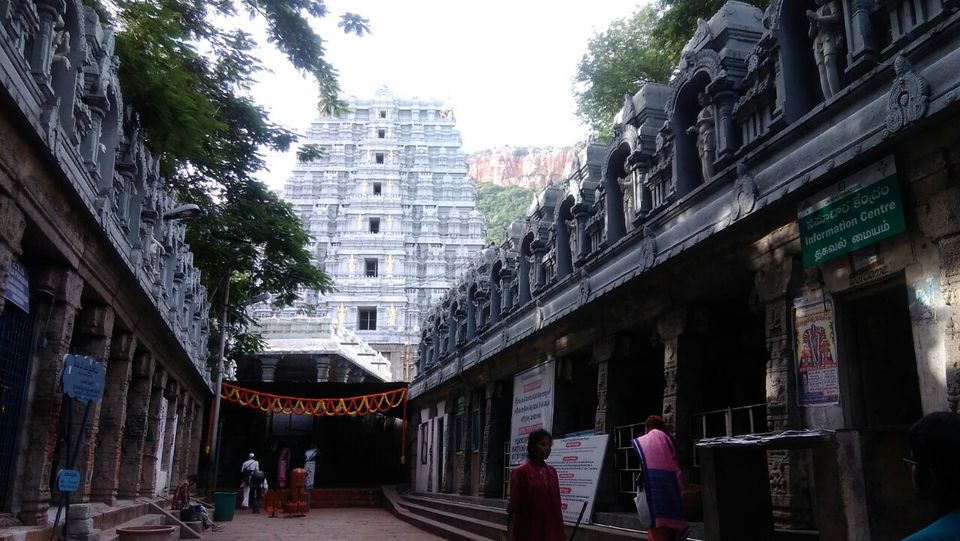 Tirumala Tirupati Venkatesa... - Tripoto