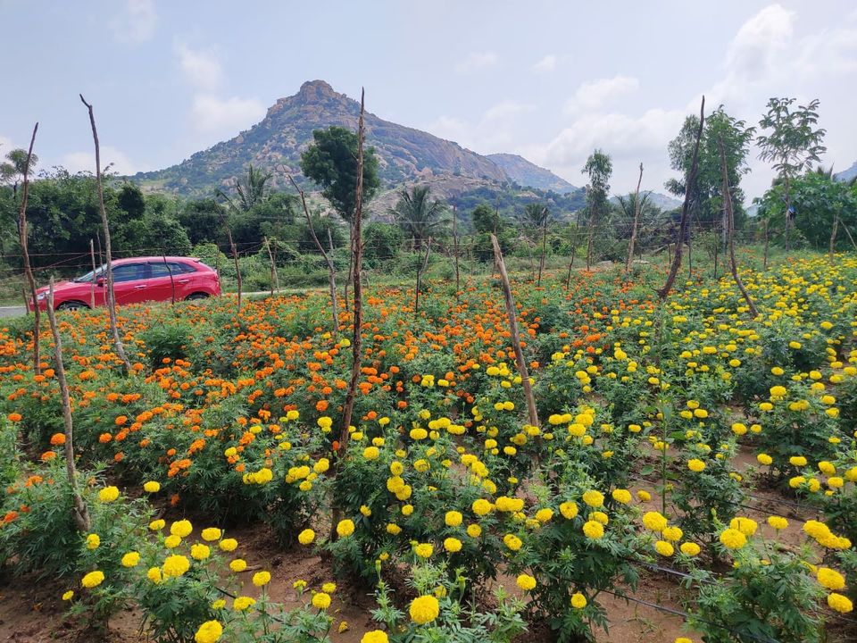 Gudibande fort..a day long story of driving, trekking and picnic ...