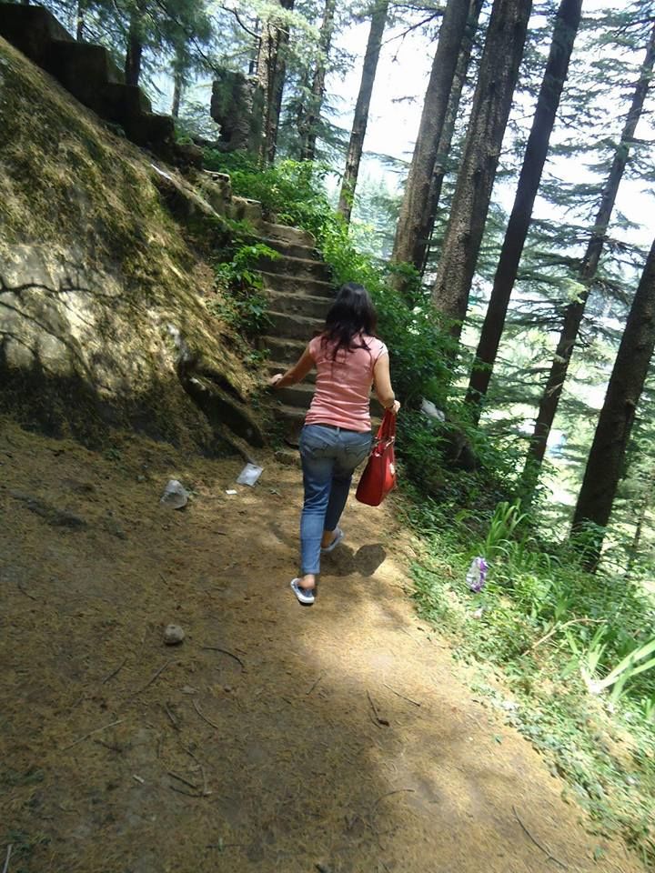 Manali : Road Trip with old Esteem (Shabnam) . - Tripoto