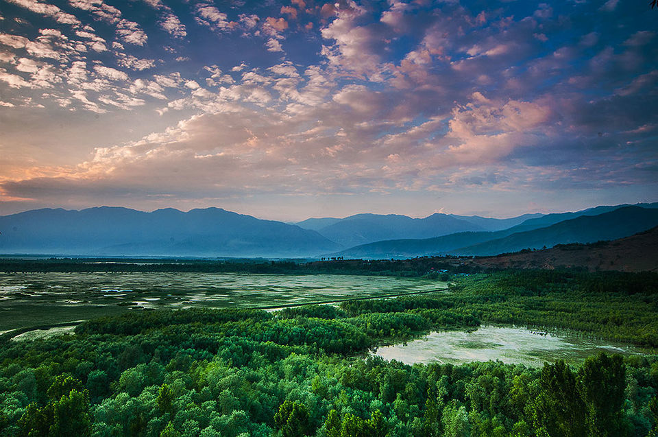Kashmirs Gorgeous Wular Lake is Slowly Turning Into A Swamp - Know Why