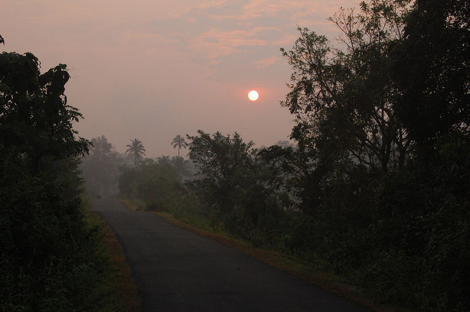 Complete Guide To Exploring Bondla Wildlife Sanctuary In North Goa