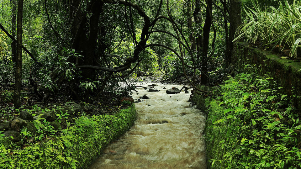 Complete Guide To Exploring Bondla Wildlife Sanctuary In North Goa