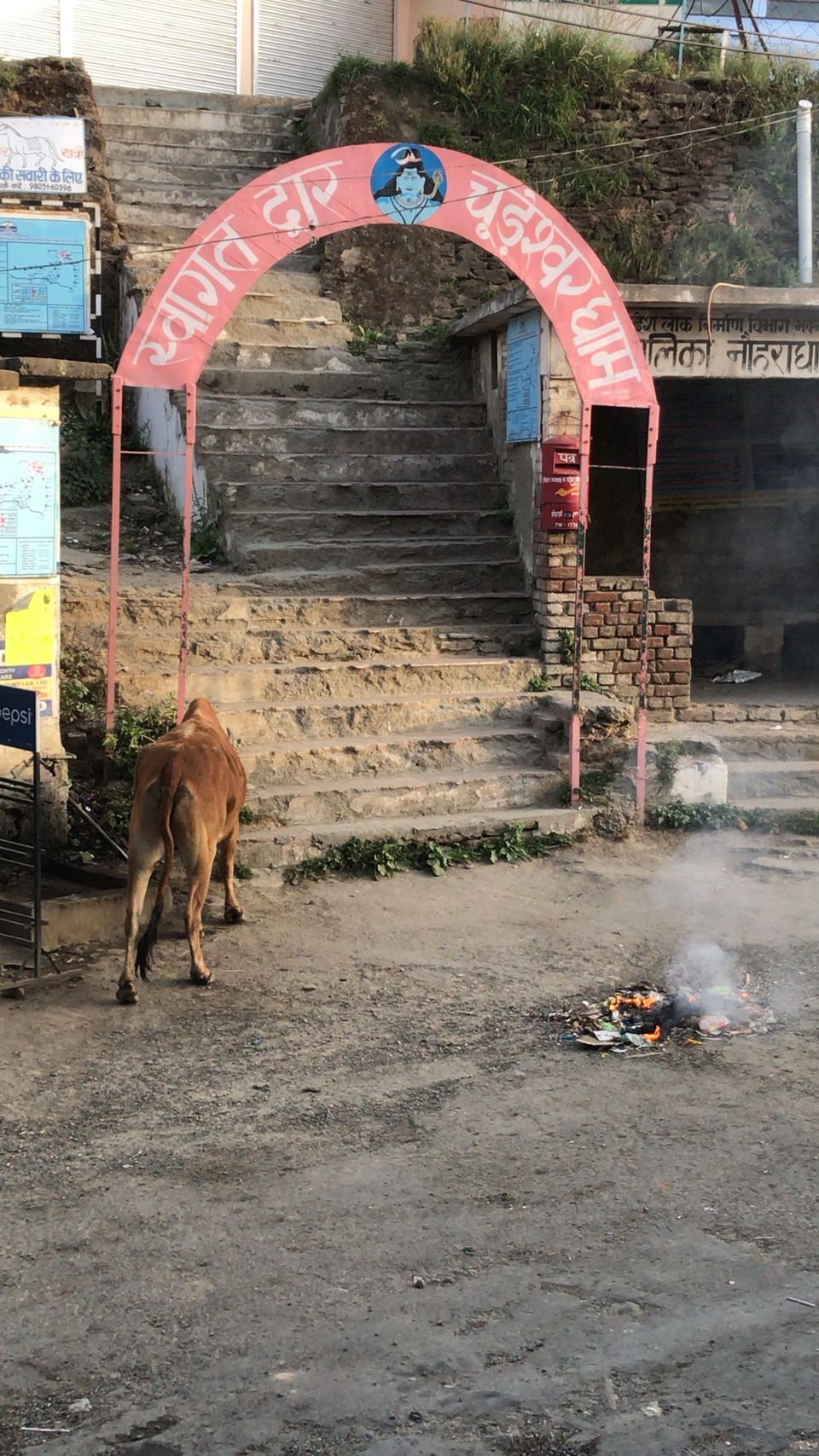 From Nohradhar to Shimla- Churdhar Trek - Tripoto