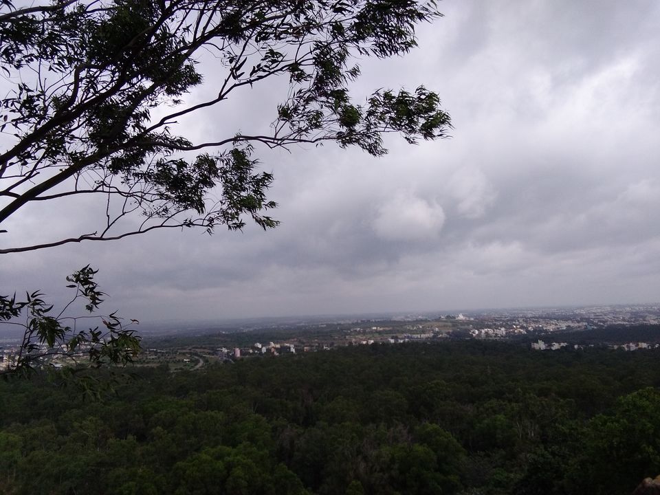Turahalli Forest: Weekend Forest Trek To Turahalli Forest Bangalore ...