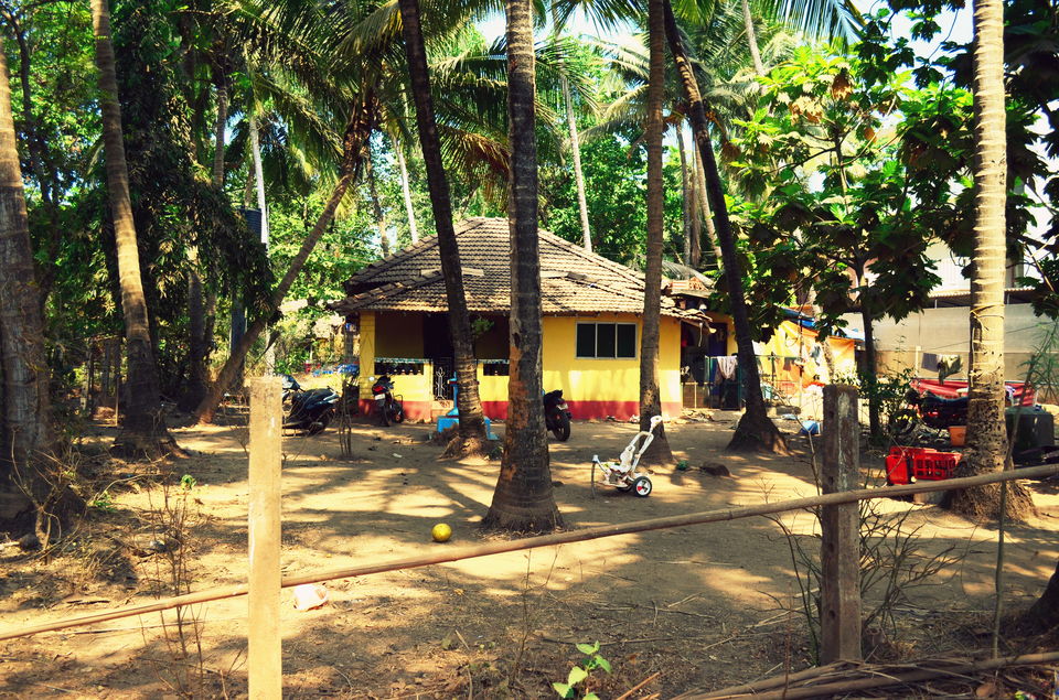 Timeless Goa: Of beauty, memories and discovering few things. - Tripoto