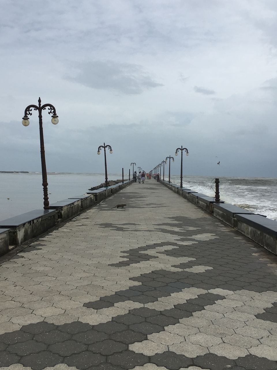 Solo Trip to Wayanad and Kozhikode - Tripoto