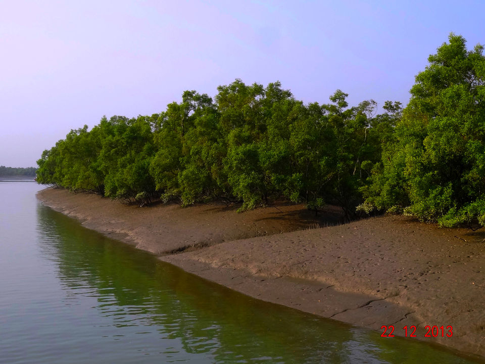 Complete Guide For Planning A Sundarban Trip, Indias Largest Mangrove ...