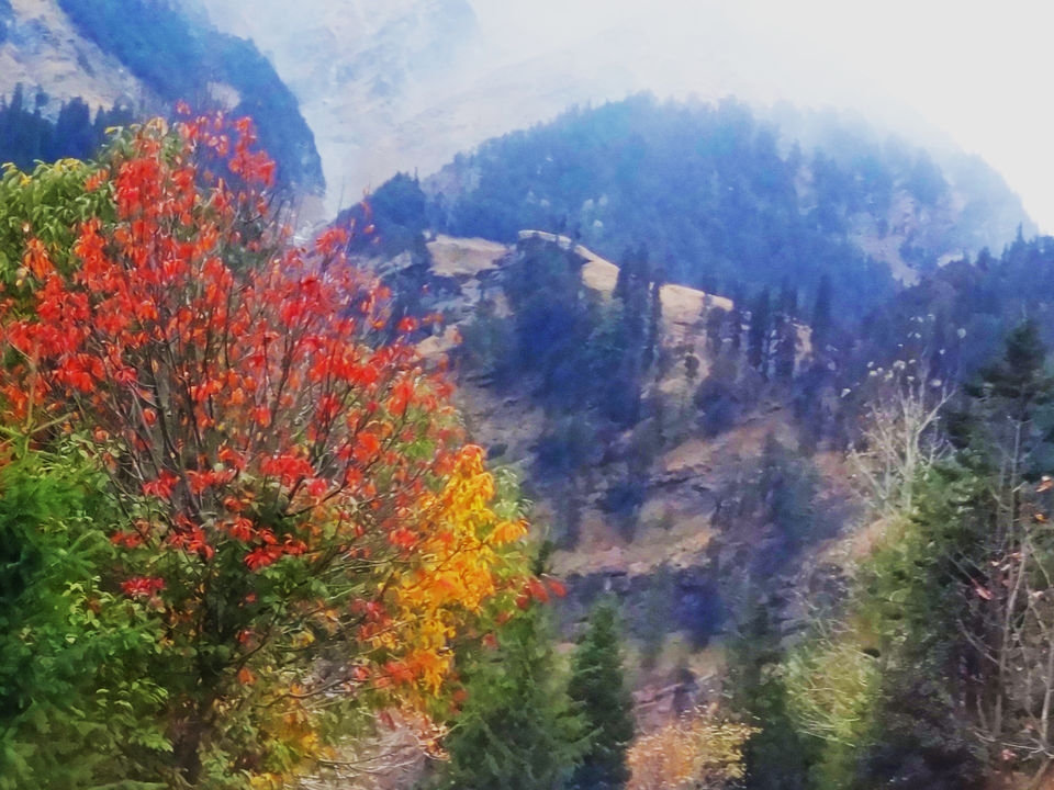 If You Are a Nature Lover, You Should Once Experience the Colours of ...