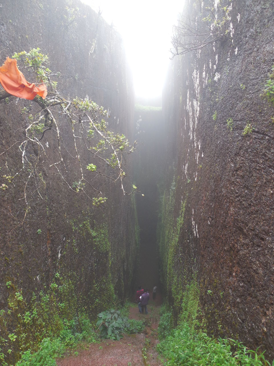 Karad Patan Range - Dategad, Gunwantgad, Vasantgad, Macchindragad ...