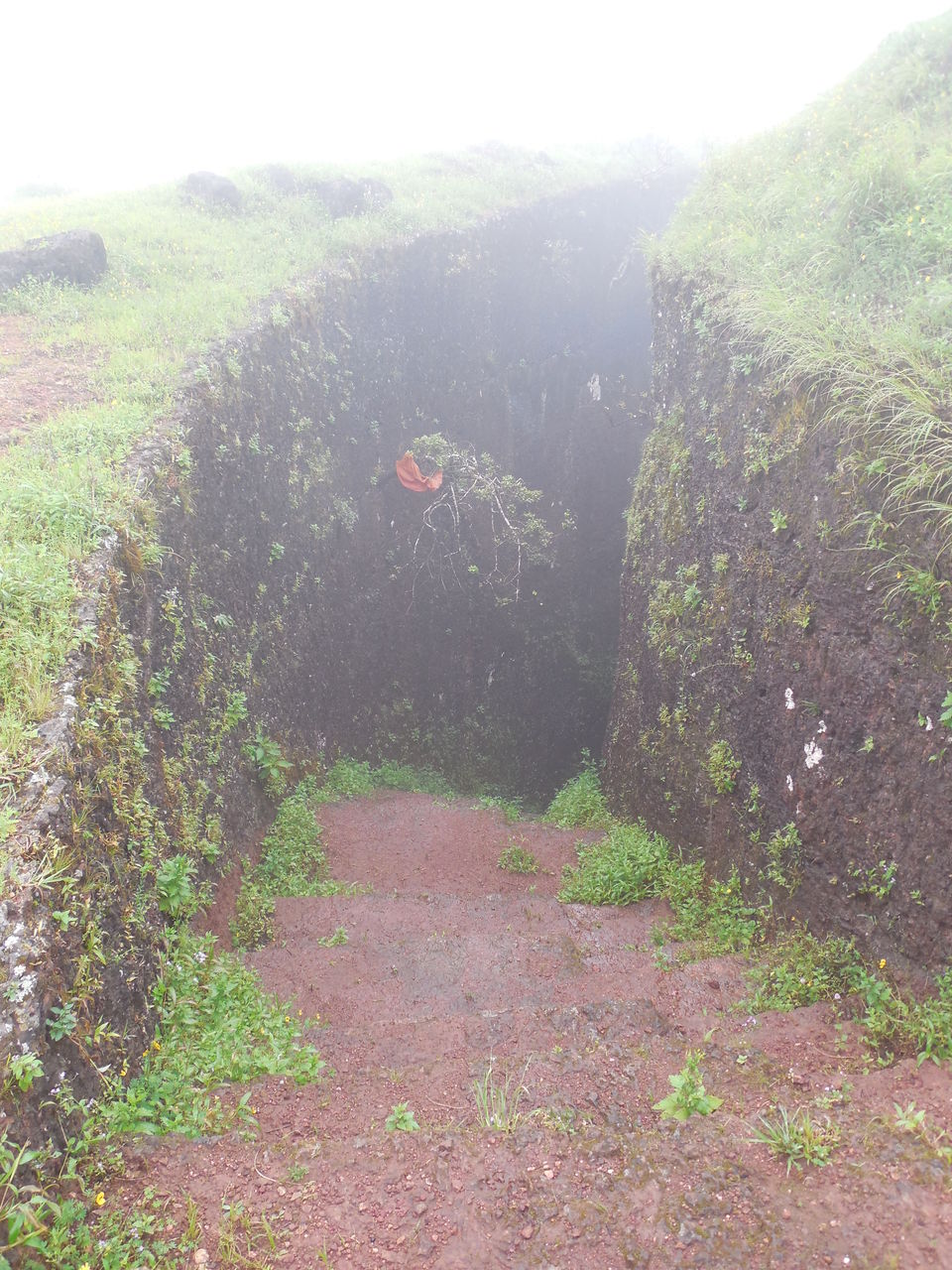 Karad Patan Range - Dategad, Gunwantgad, Vasantgad, Macchindragad ...
