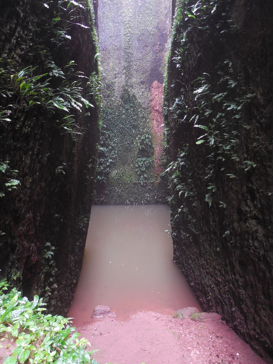Karad Patan Range - Dategad, Gunwantgad, Vasantgad, Macchindragad ...
