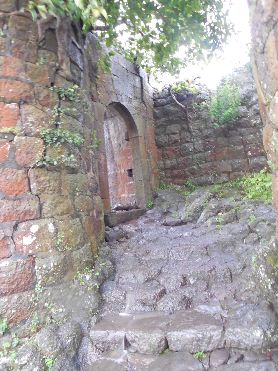 Karad Patan Range - Dategad, Gunwantgad, Vasantgad, Macchindragad ...