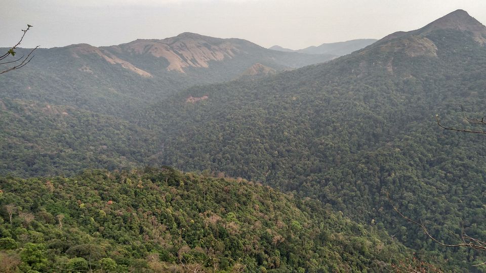 Bisle Ghat -Treat yourself with green rush of this forest reserve - Tripoto