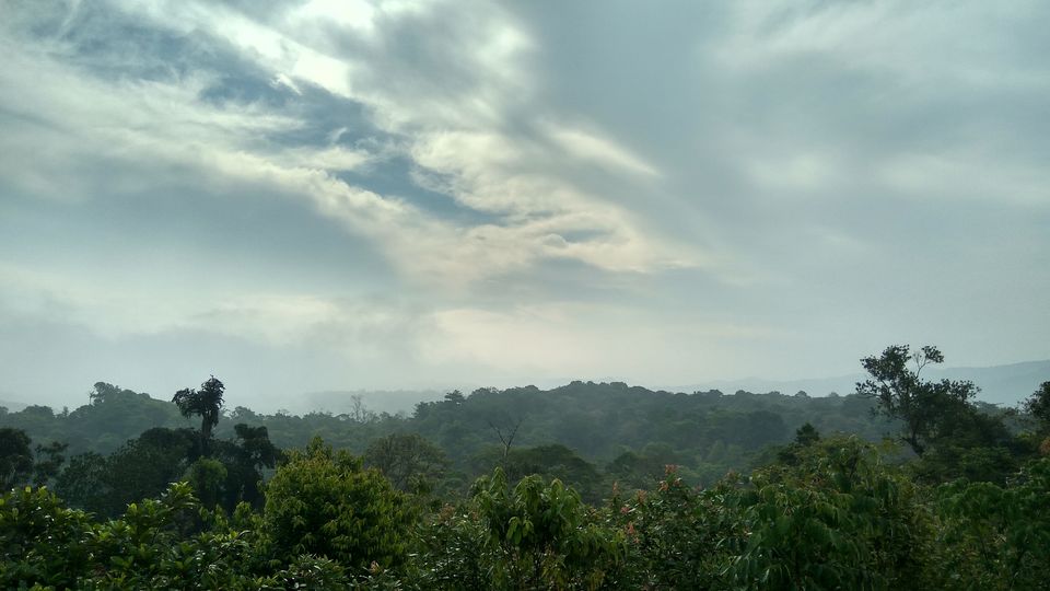 Bisle Ghat -Treat yourself with green rush of this forest reserve - Tripoto