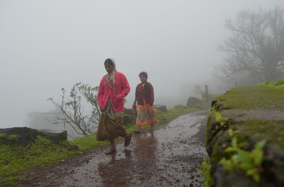 Monsoon Trek to Raigad Fort, visit raigad fort in rainy season ...