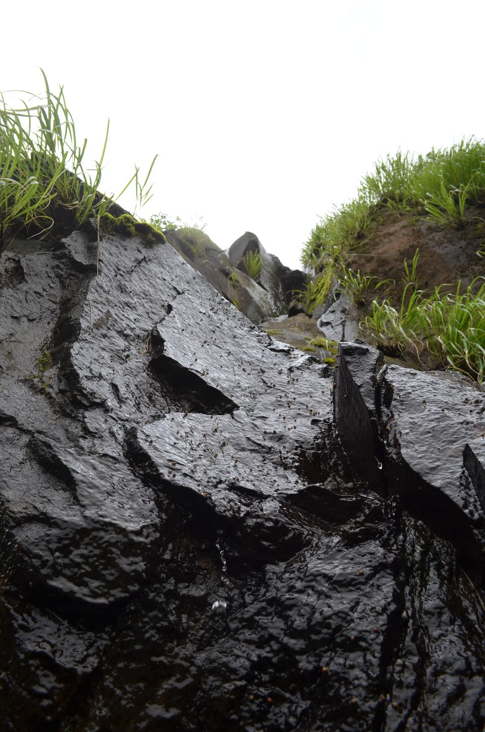 Monsoon Trek to Raigad Fort, visit raigad fort in rainy season ...