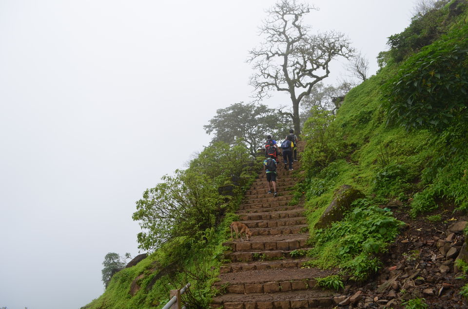Monsoon Trek to Raigad Fort, visit raigad fort in rainy season ...