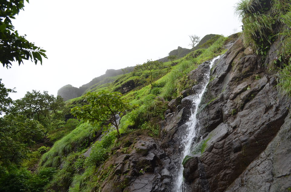 Monsoon Trek to Raigad Fort, visit raigad fort in rainy season ...