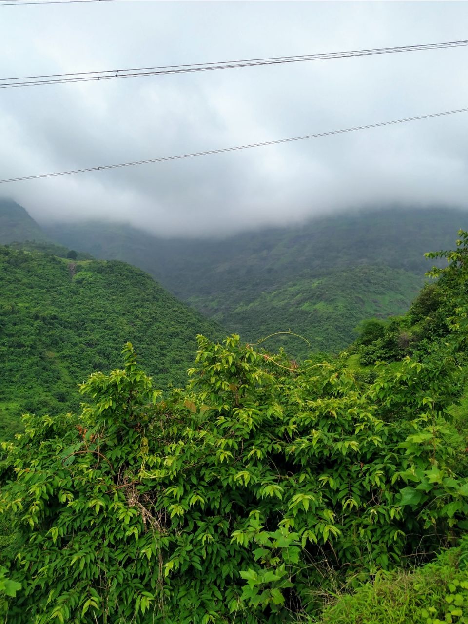 One day trek to Peb Fort or Vikat gad fort - Tripoto