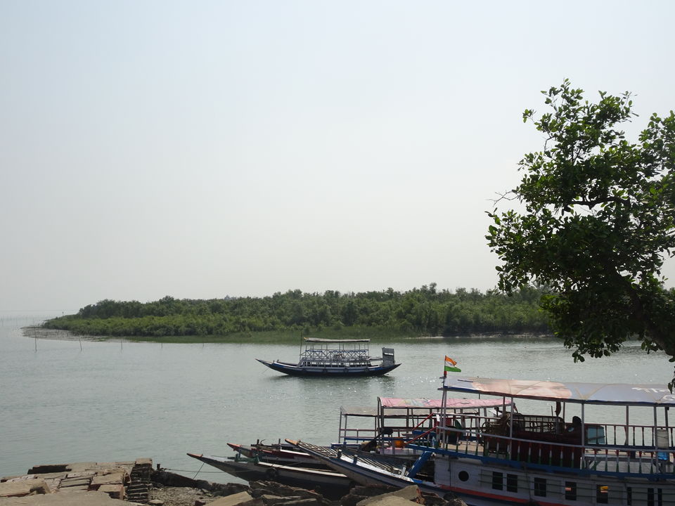Kaikhali, Sundarbans, West Bengal, কৈখালী সুন্দরবন - Tripoto