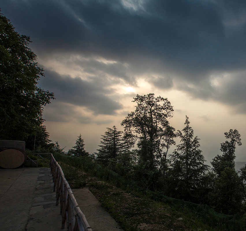 This Peaceful Resort In Chail Is Your Shot At Seeing A Snowfall In ...