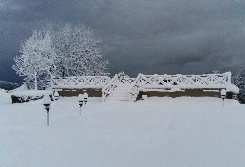 This Peaceful Resort In Chail Is Your Shot At Seeing A Snowfall In ...